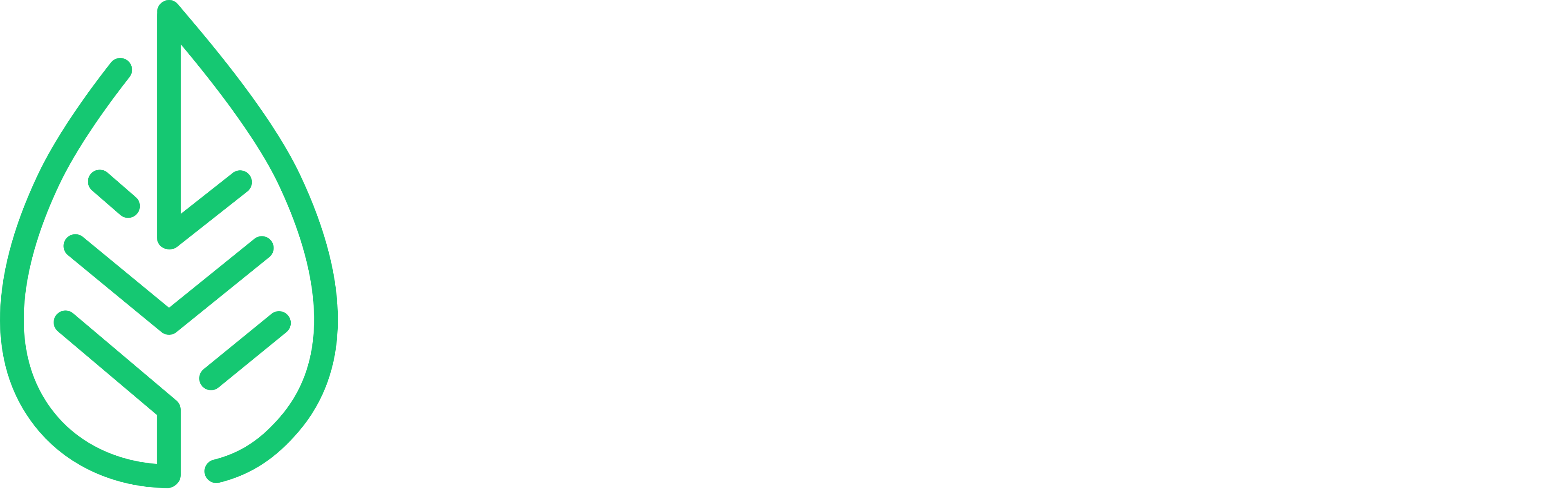 Ai Engineer Accelerator Program 0226